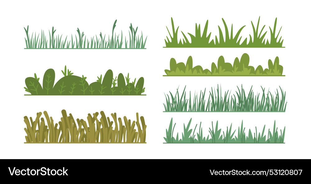 Vegetation and grass lush greenery Royalty Free Vector Image