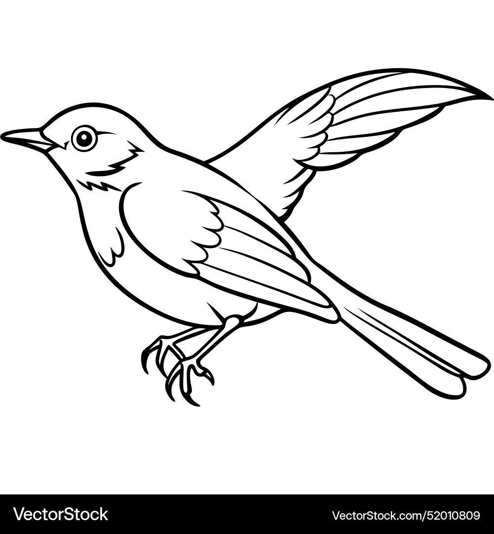 European robin bird flies icon Royalty Free Vector Image