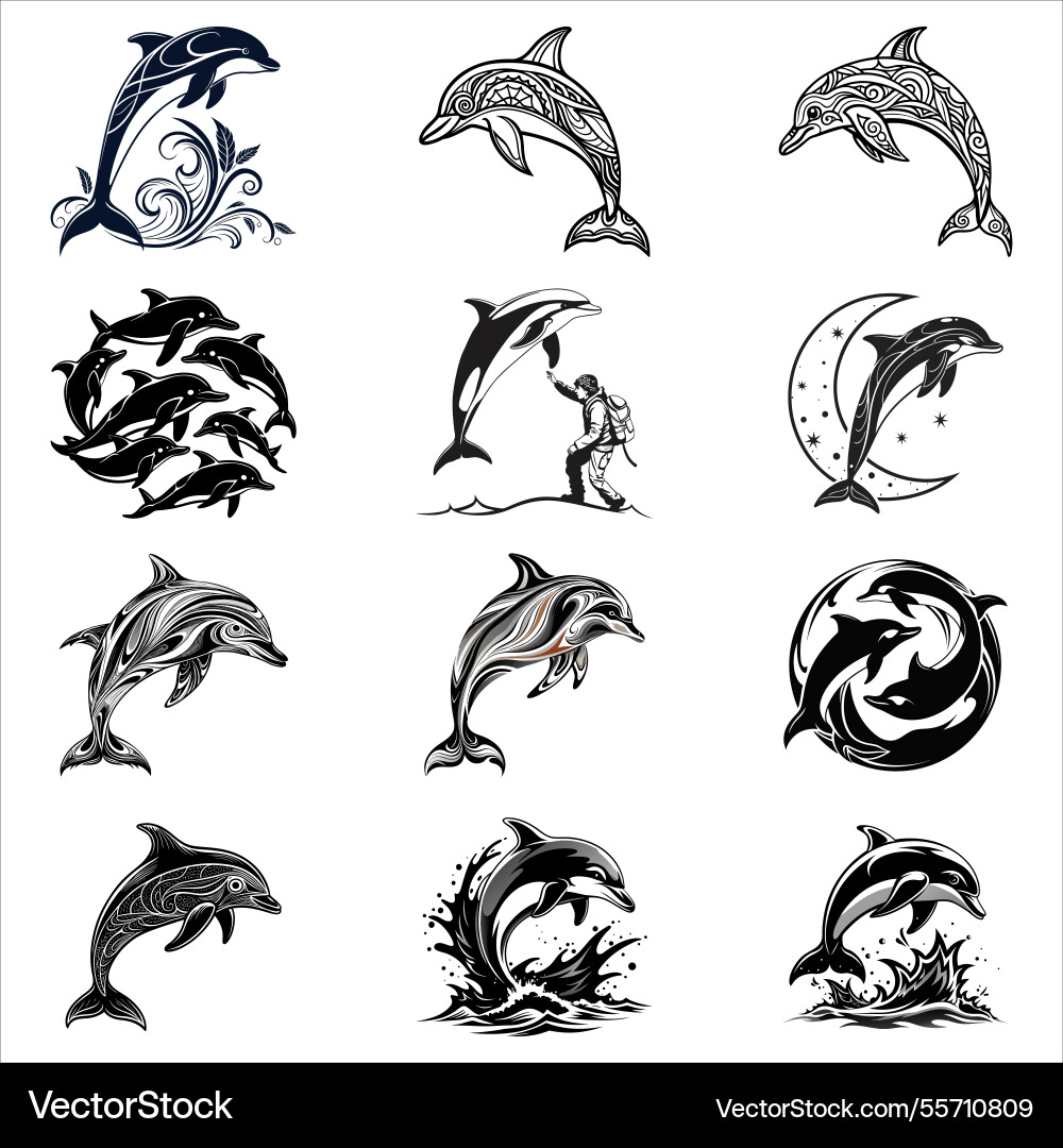 Sleek Dolphin in Motion Royalty Free Vector Image