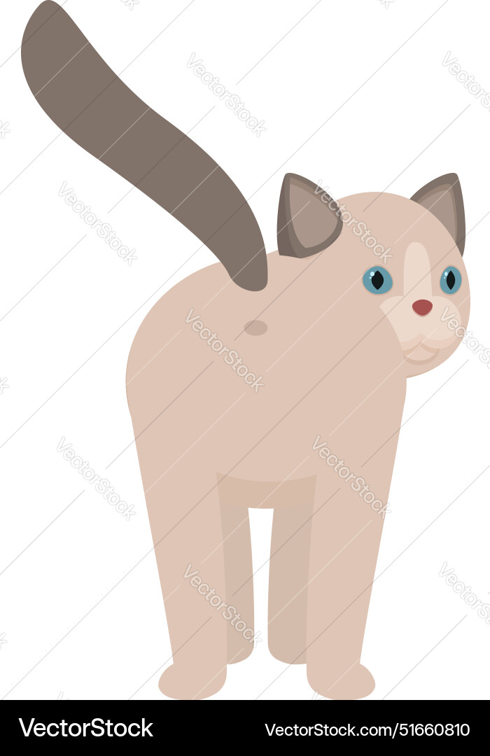 Cute cat wagging its tail looking back over Vector Image