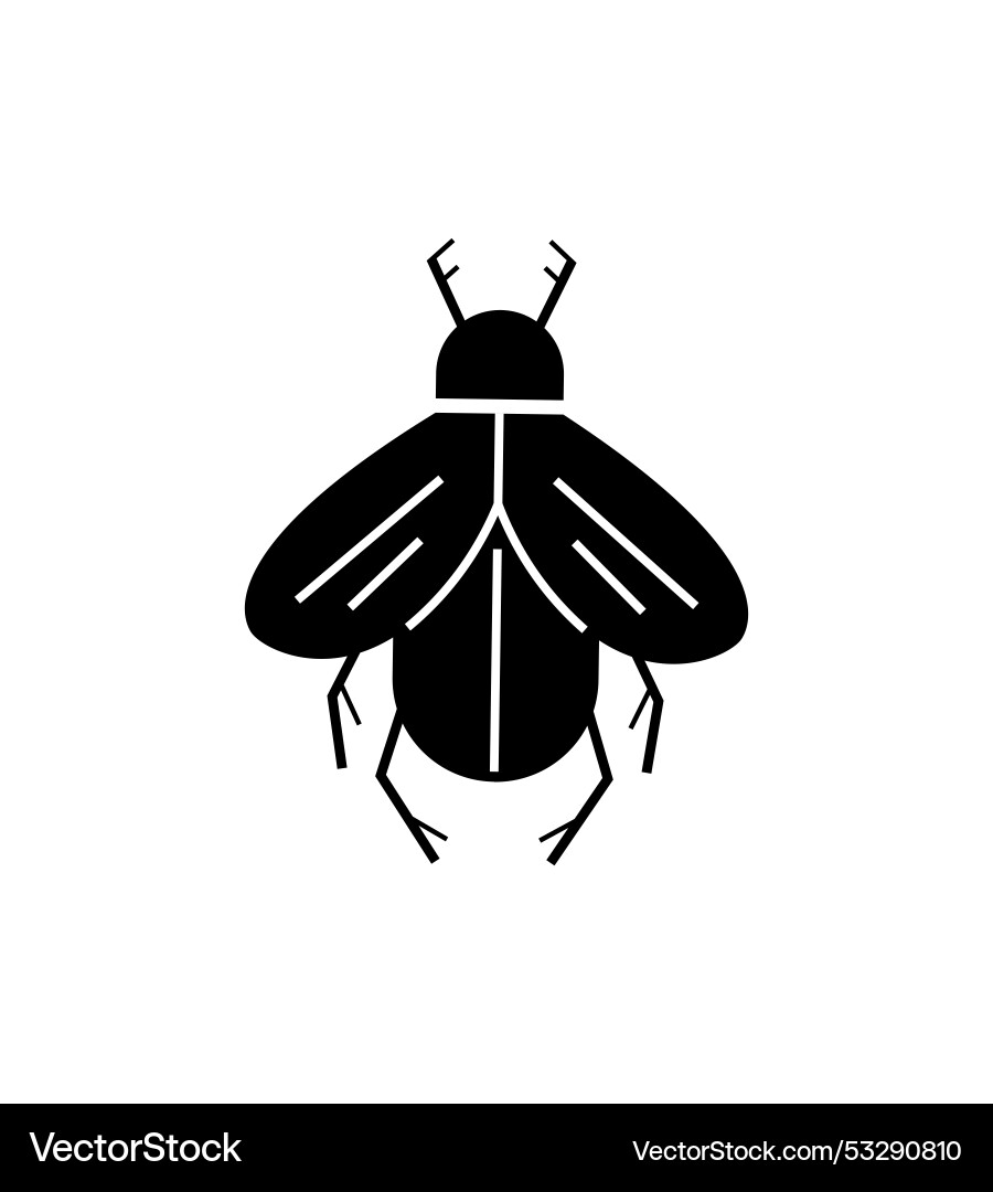 Detailed black fly facing forward Royalty Free Vector Image