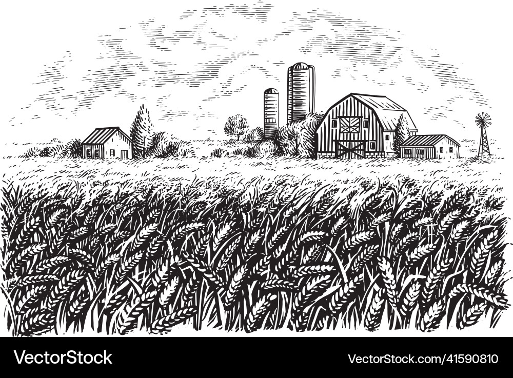 Field hand drawing sketch engraving Royalty Free Vector