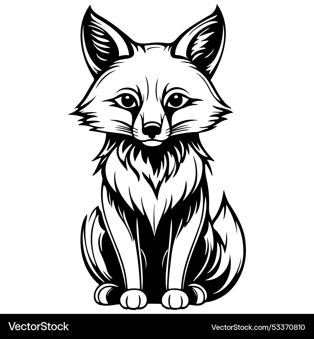 Fox ink hand drawn line transparent background Vector Image