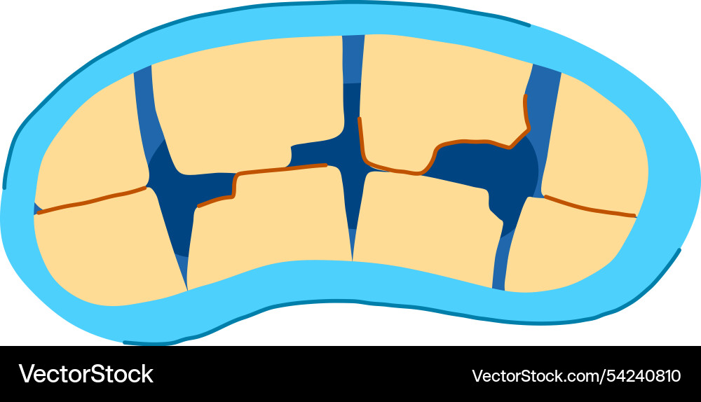 Snarl monster mouth cartoon Royalty Free Vector Image