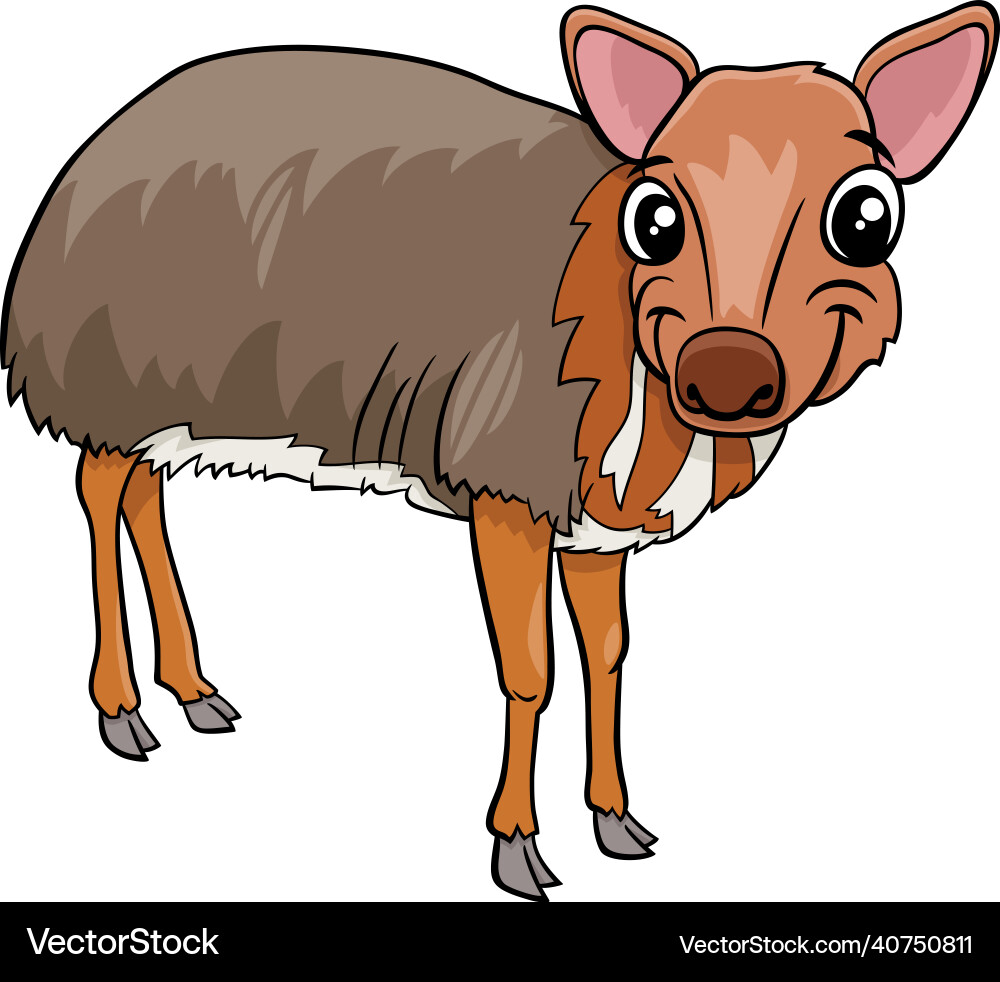 Cartoon chevrotain comic animal character Vector Image