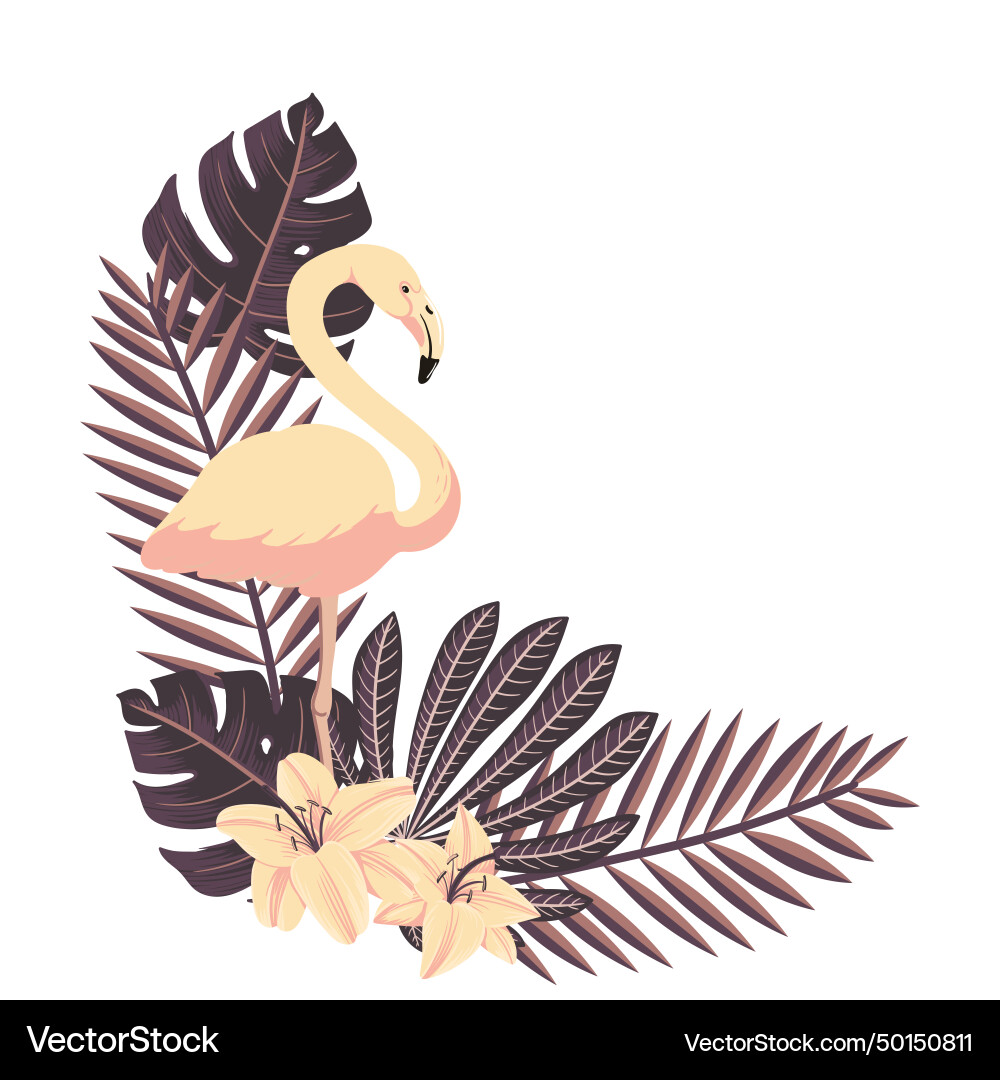 Drawing bird flamingo Royalty Free Vector Image