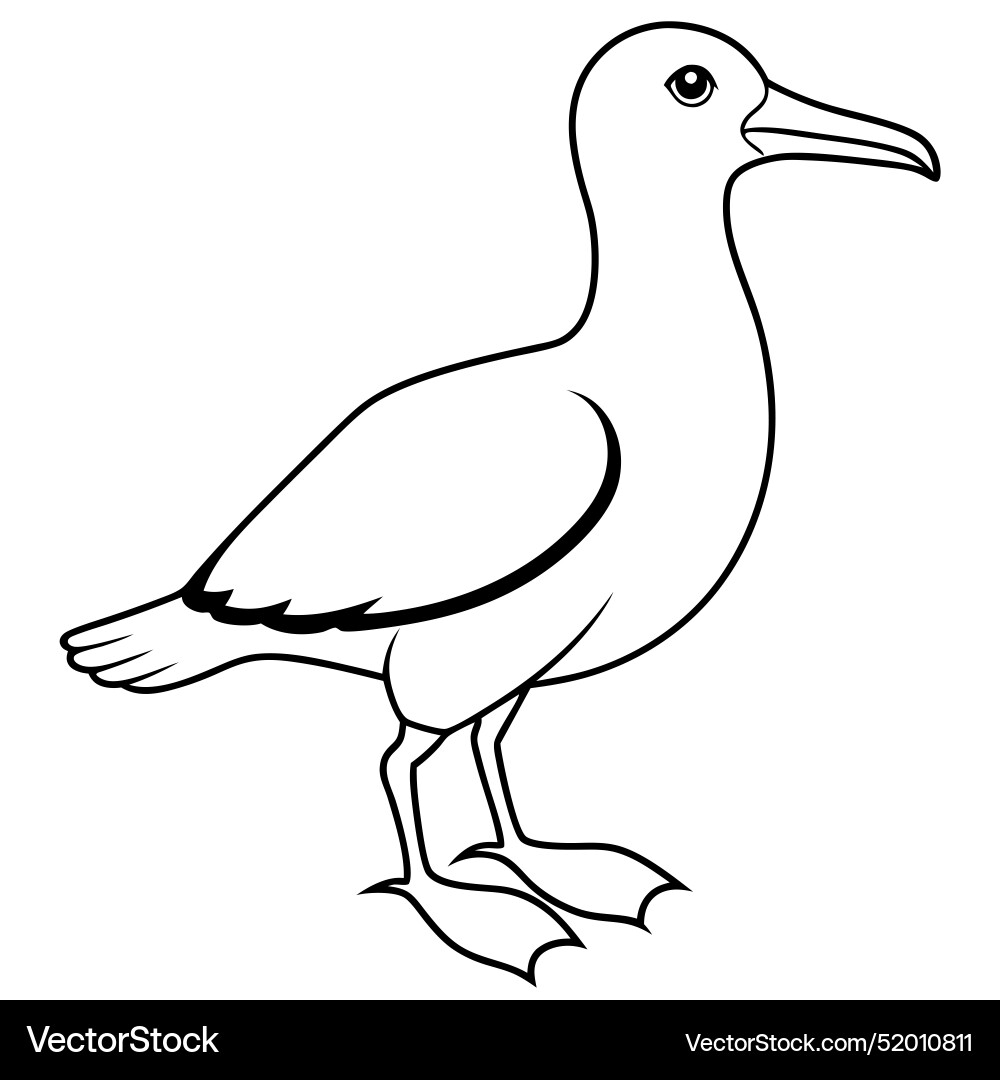 European robin bird jumps icon Royalty Free Vector Image