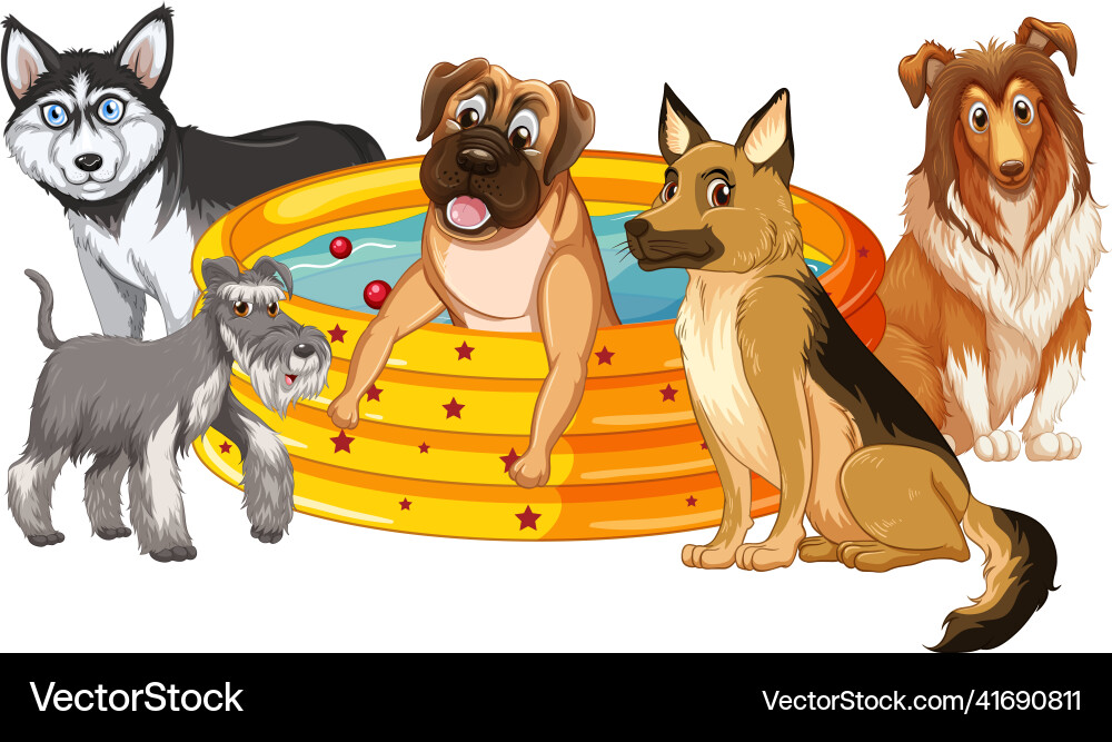 Five dogs playing by the pool Royalty Free Vector Image