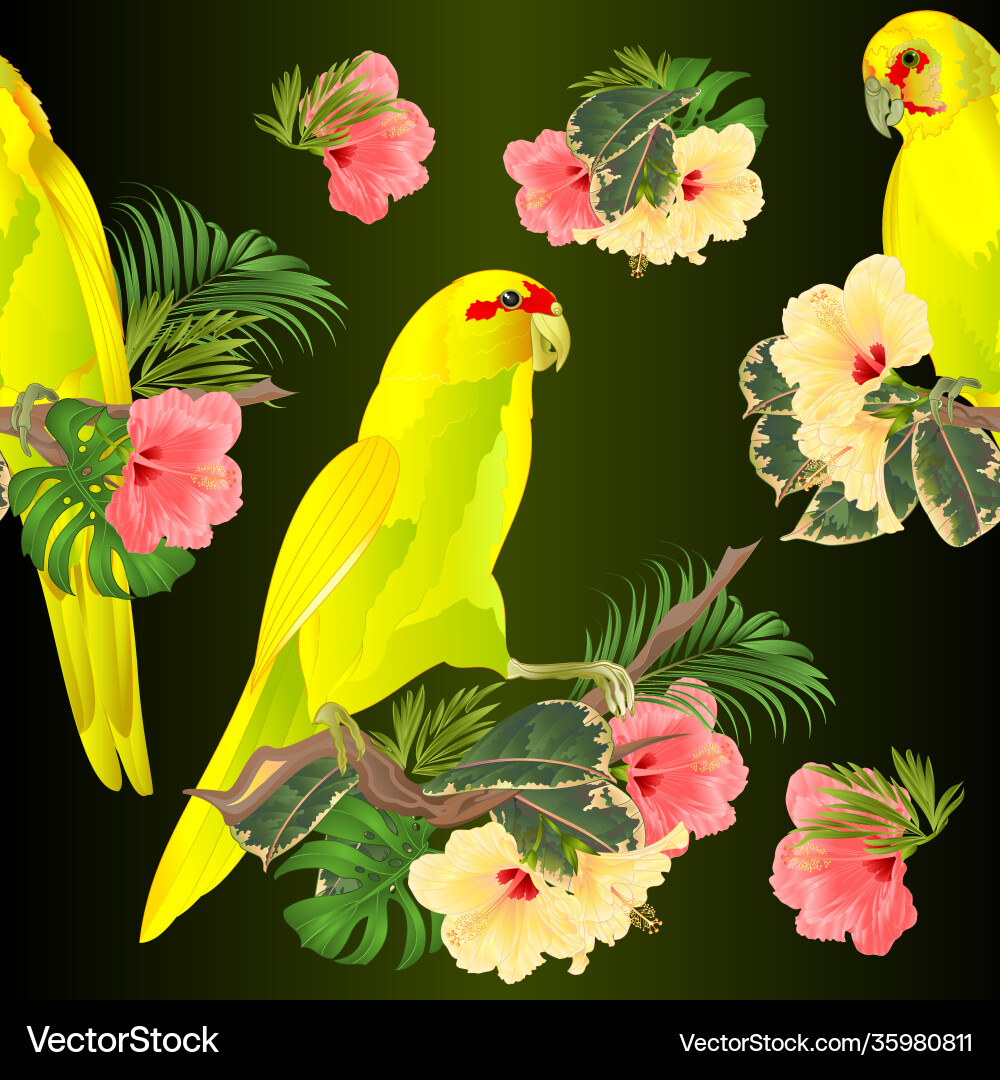 Seamless texture birds yellow parrots indian Vector Image