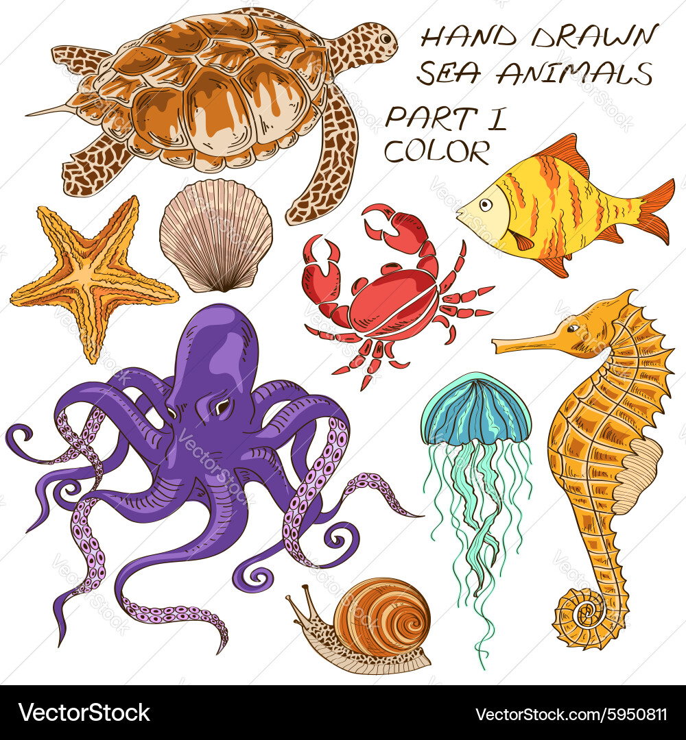 Set of isolated sea animals Royalty Free Vector Image