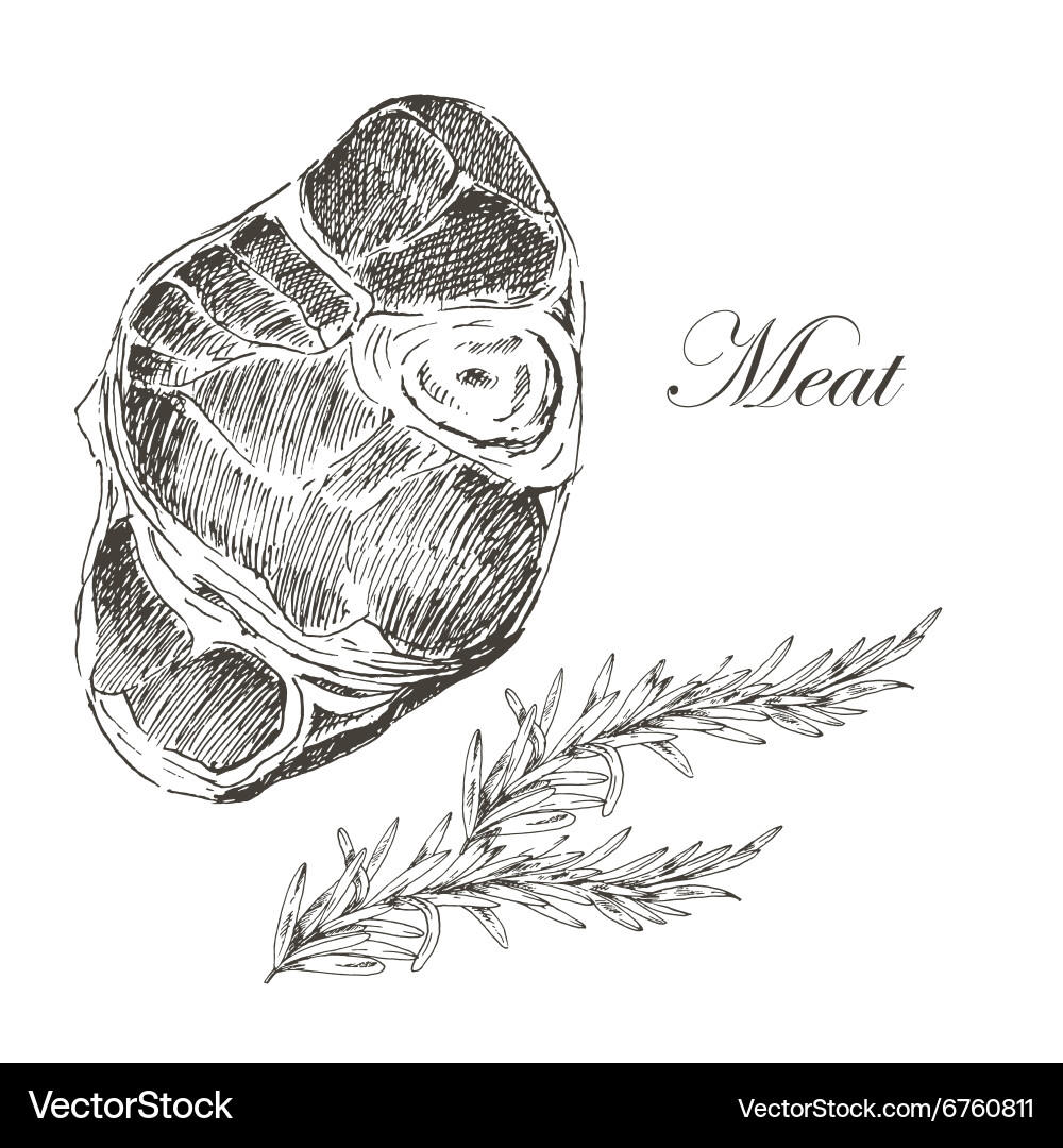 Steak meat hand drawing with pepper Royalty Free Vector