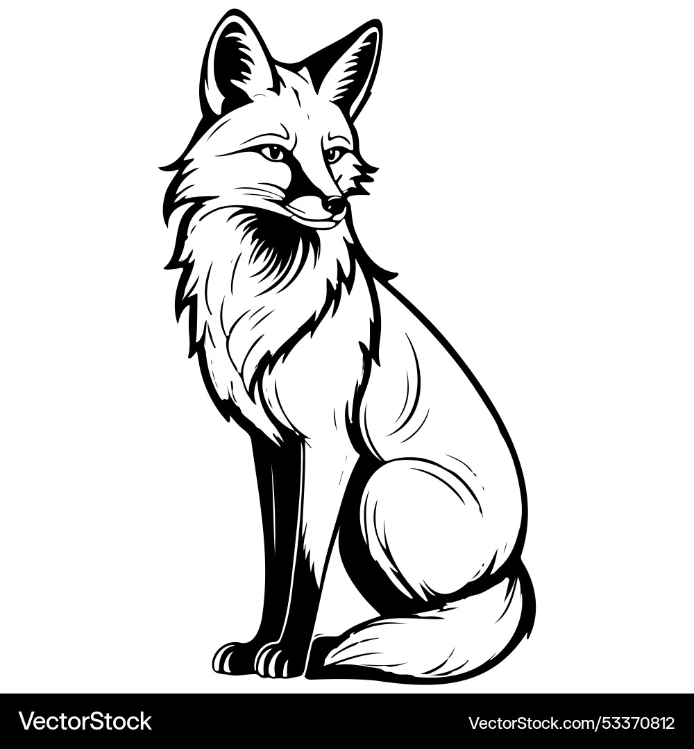 Fox of hand drawn line transparent background Vector Image