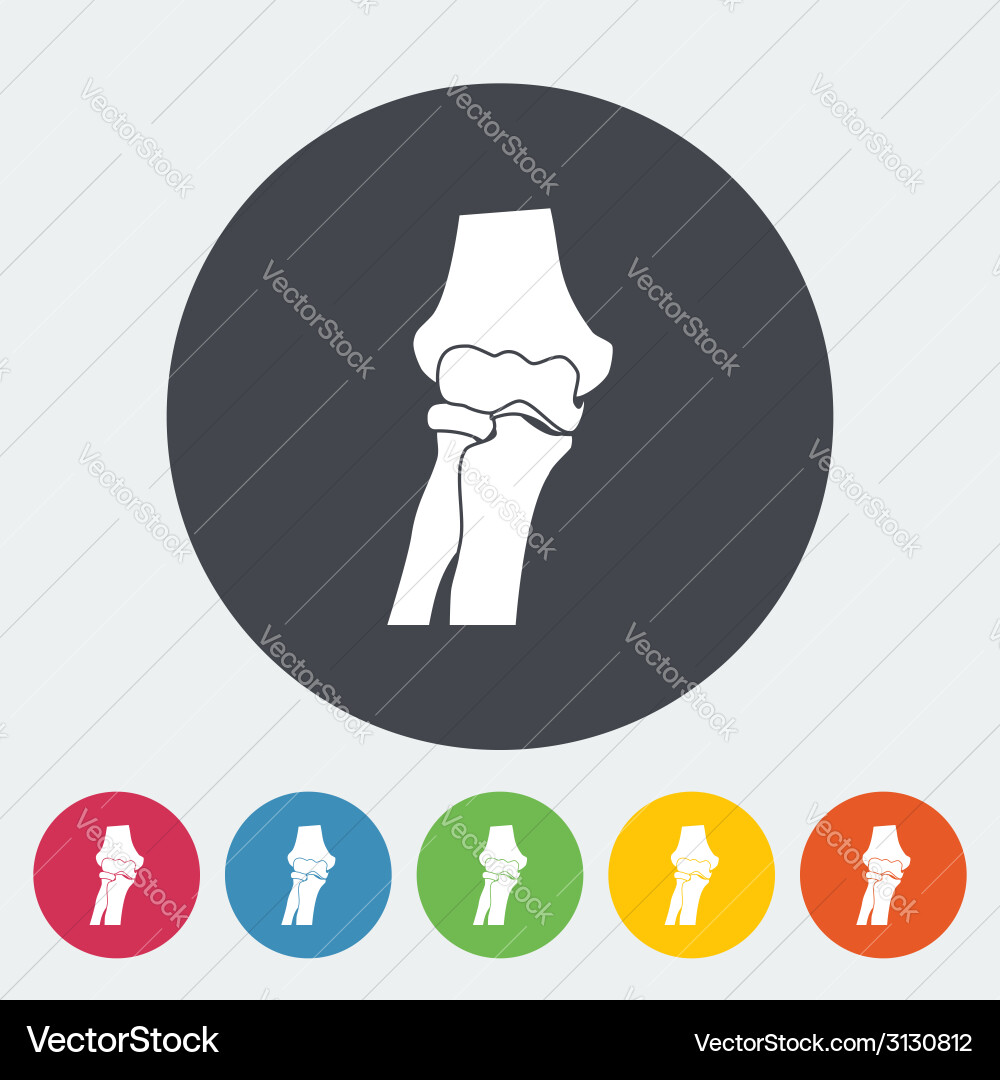 Knee-joint single icon Royalty Free Vector Image