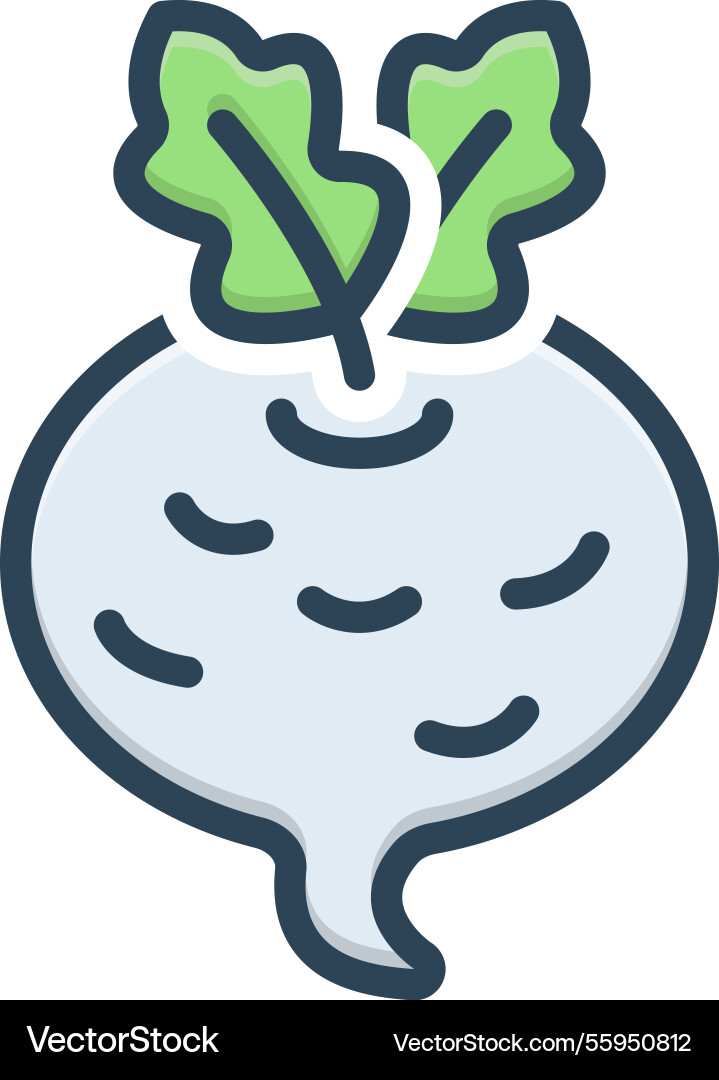 Turnip Royalty Free Vector Image - VectorStock
