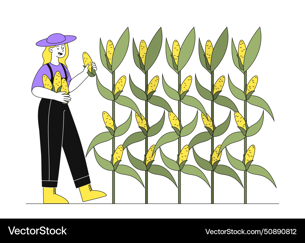 Woman harvesting corn linear Royalty Free Vector Image