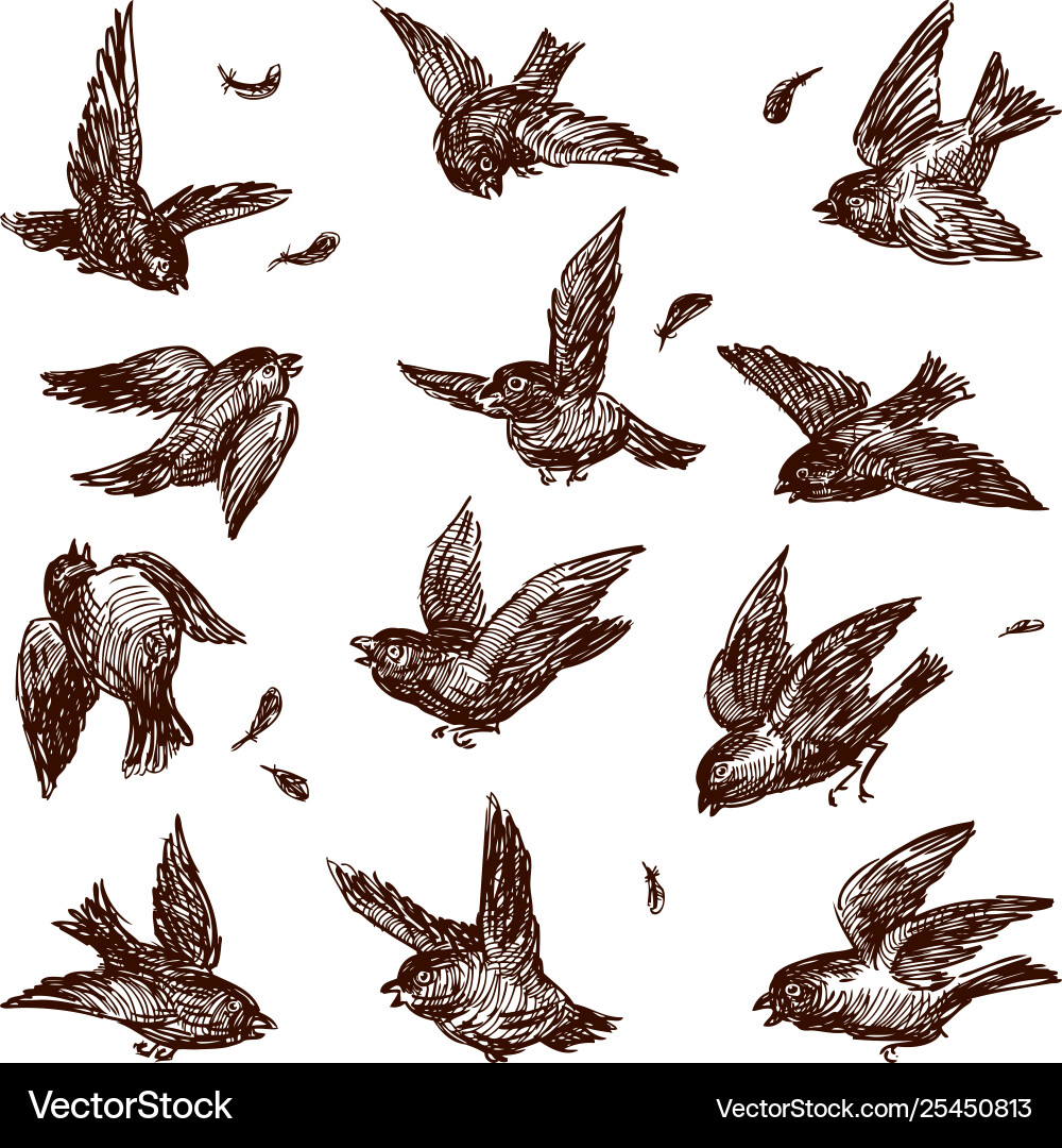 Fighting sparrows Royalty Free Vector Image - VectorStock