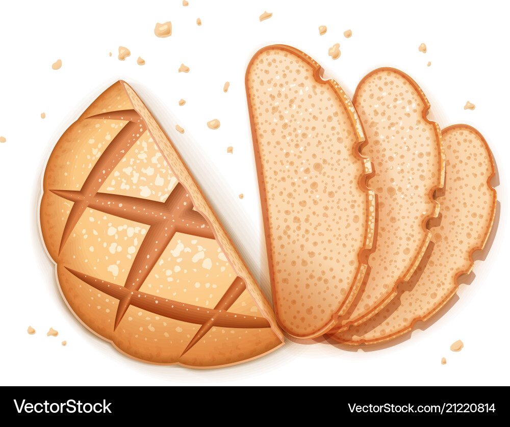 Rye round bread Royalty Free Vector Image - VectorStock