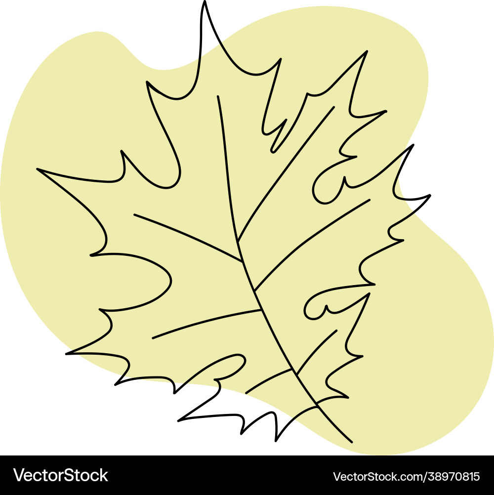 Autumn leaves black line drawing on colored Vector Image