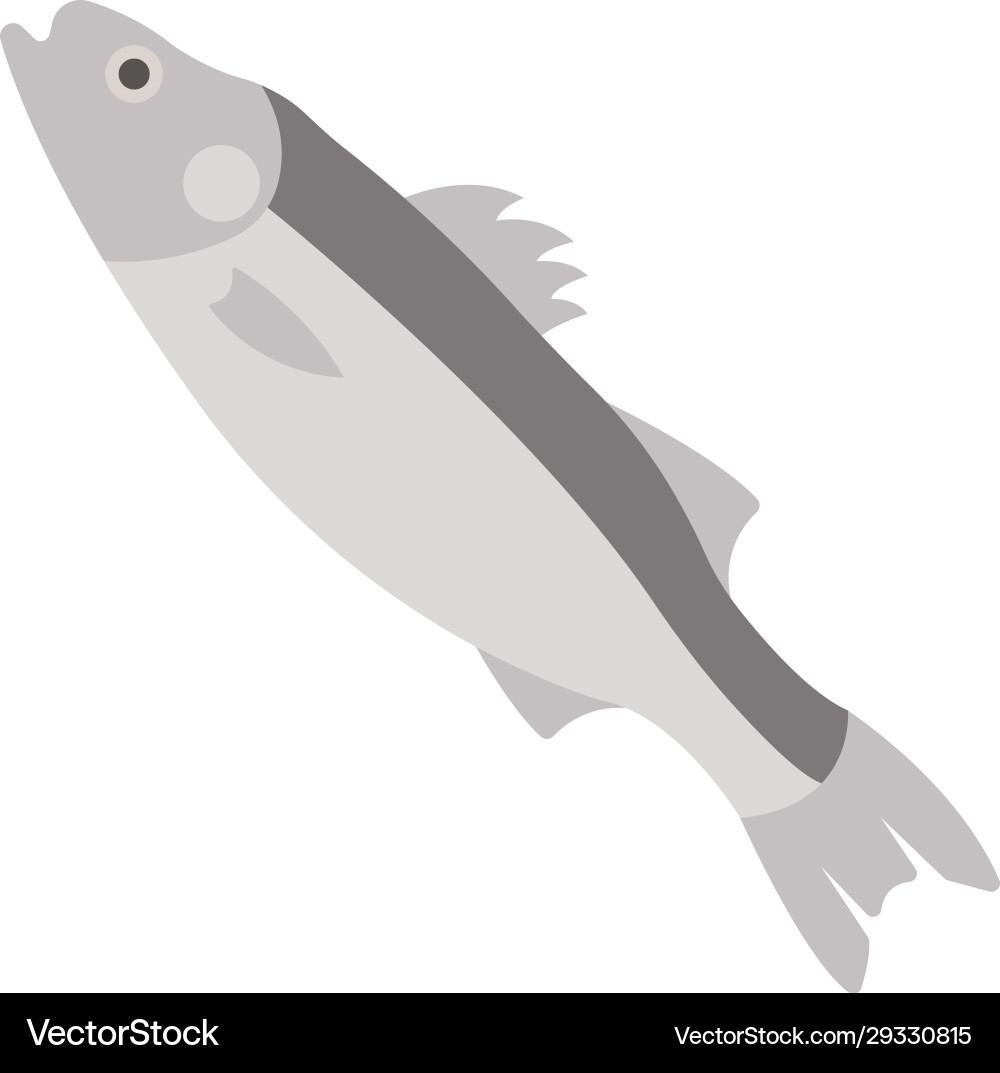 Sea bass Royalty Free Vector Image - VectorStock