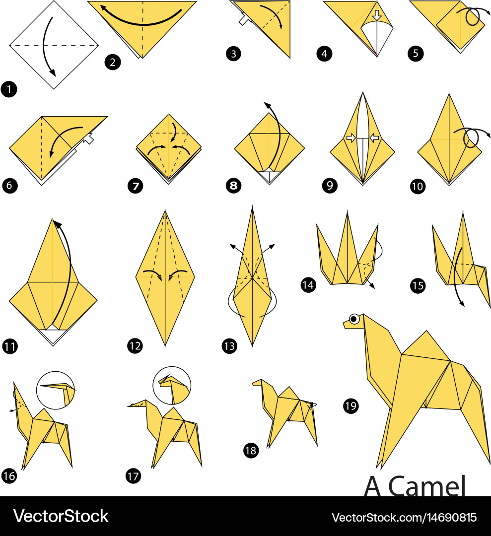 Step by instructions how to make origami Vector Image