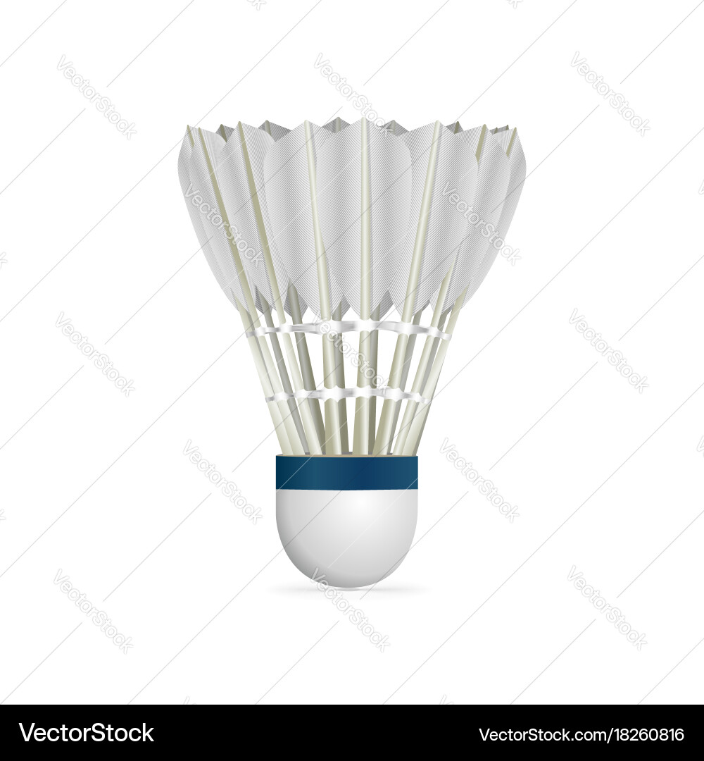 Badminton shuttlecock Royalty Free Vector Image