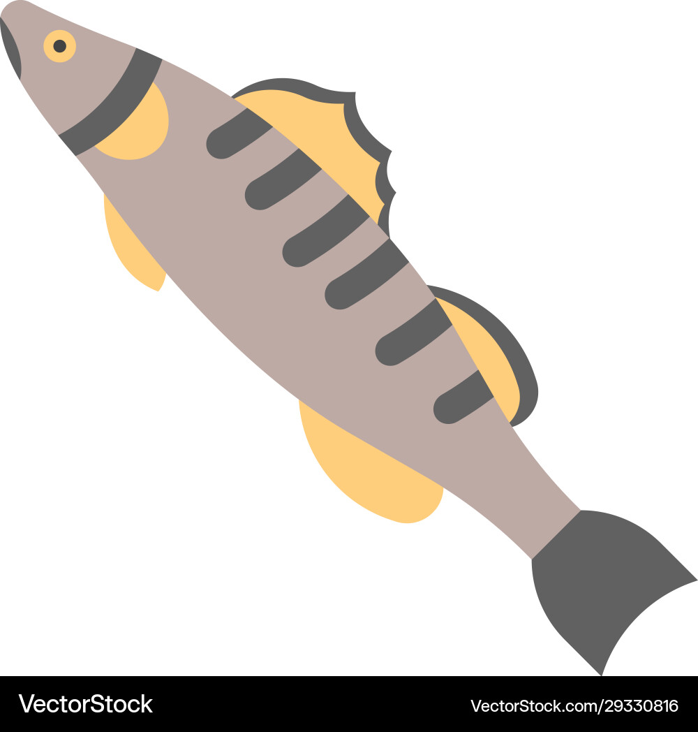 Zander Royalty Free Vector Image - VectorStock