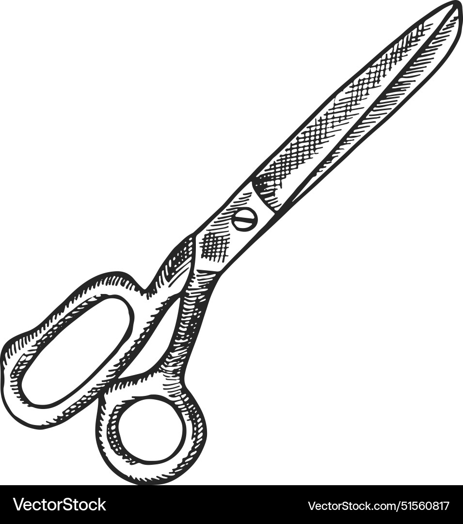 Tailor scissors sketch sewing blade engraving logo