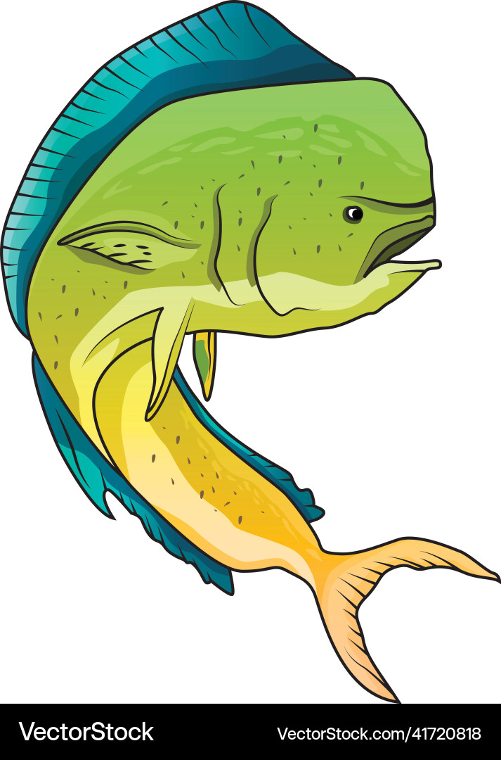 Mahi Royalty Free Vector Image - VectorStock