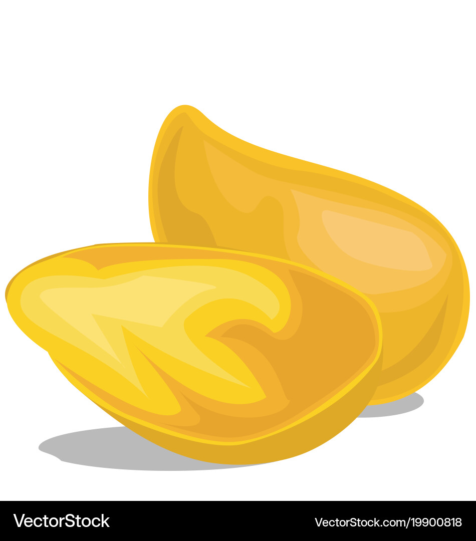 Mango Royalty Free Vector Image - VectorStock