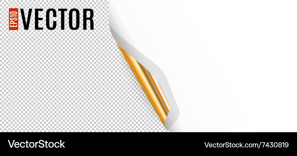 Curled corner with transparent background Vector Image