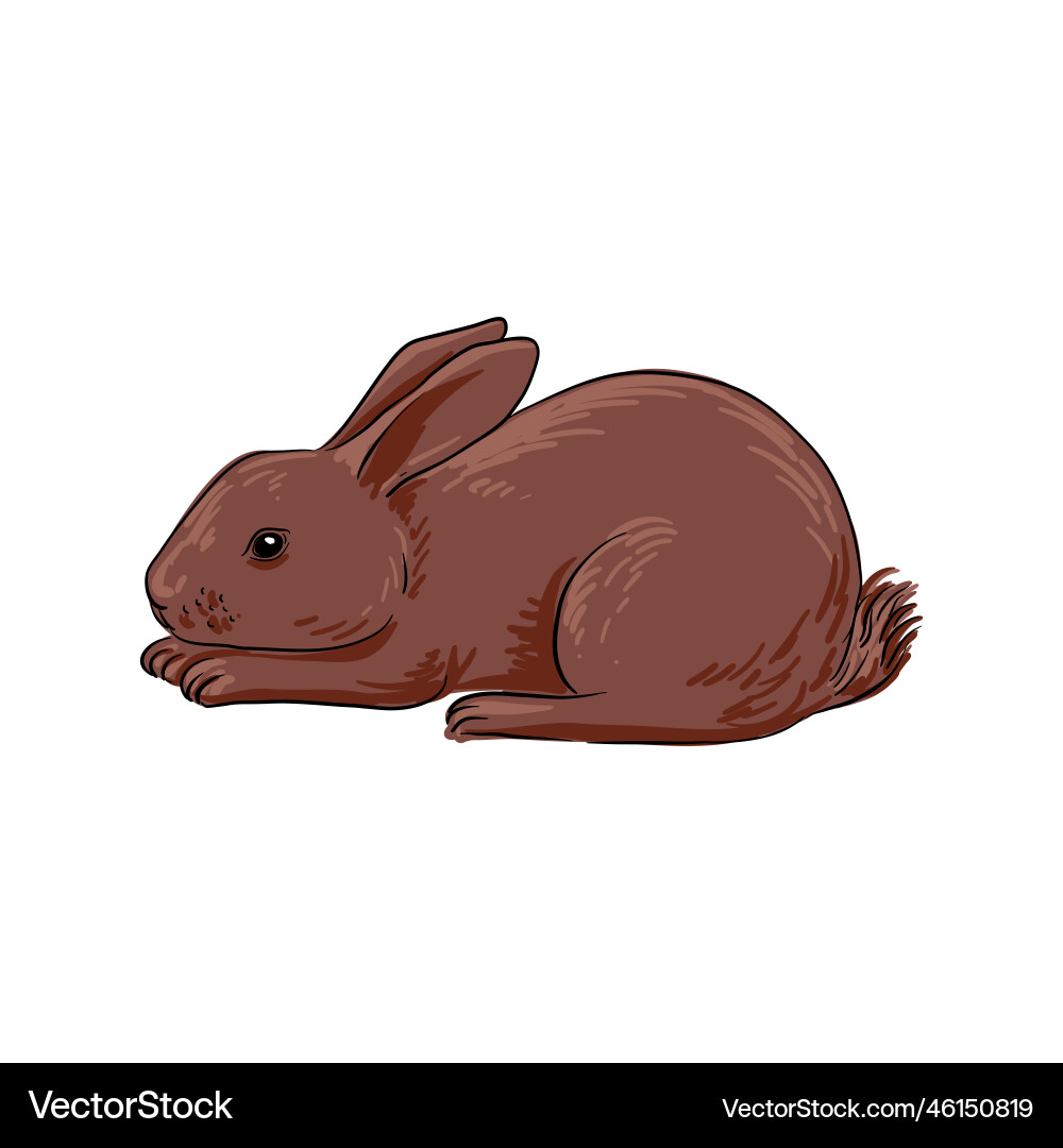 Drawing animal rabbit Royalty Free Vector Image