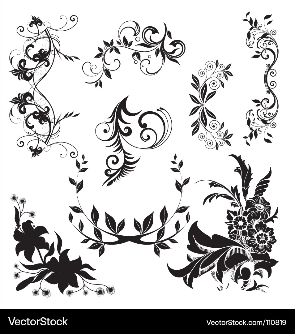 Floral elements Royalty Free Vector Image - VectorStock