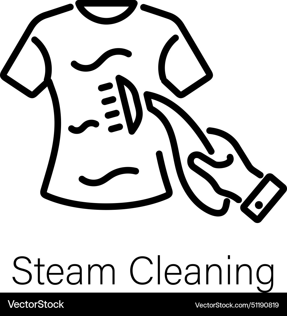 Steam cleaning Royalty Free Vector Image - VectorStock