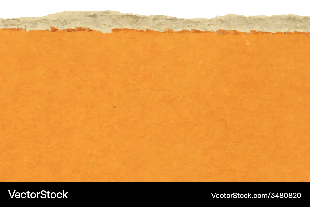 Ripped paper Royalty Free Vector Image - VectorStock