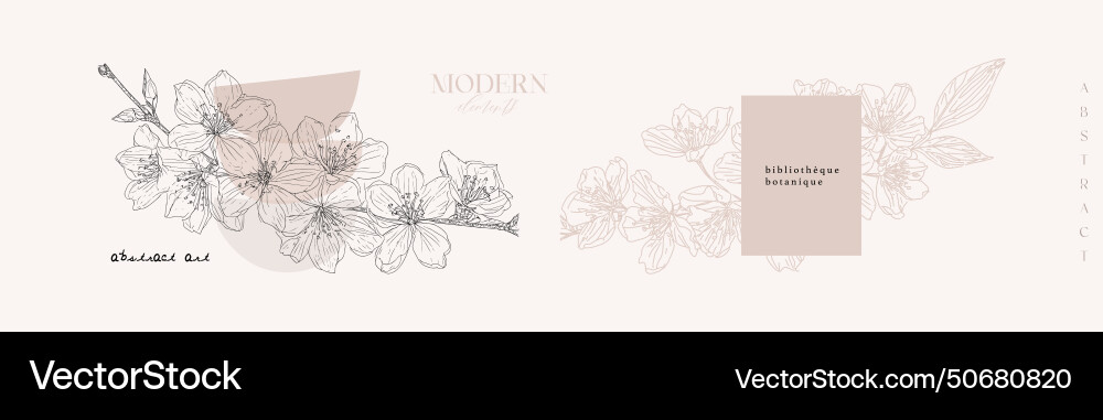Sakura flower tree branches floral header Vector Image