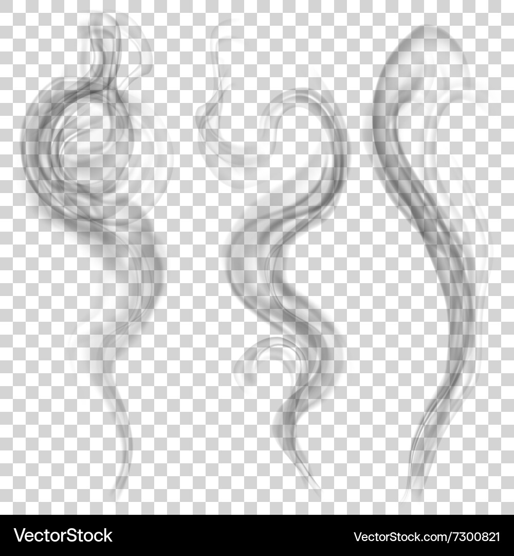 Gray smoke Royalty Free Vector Image - VectorStock