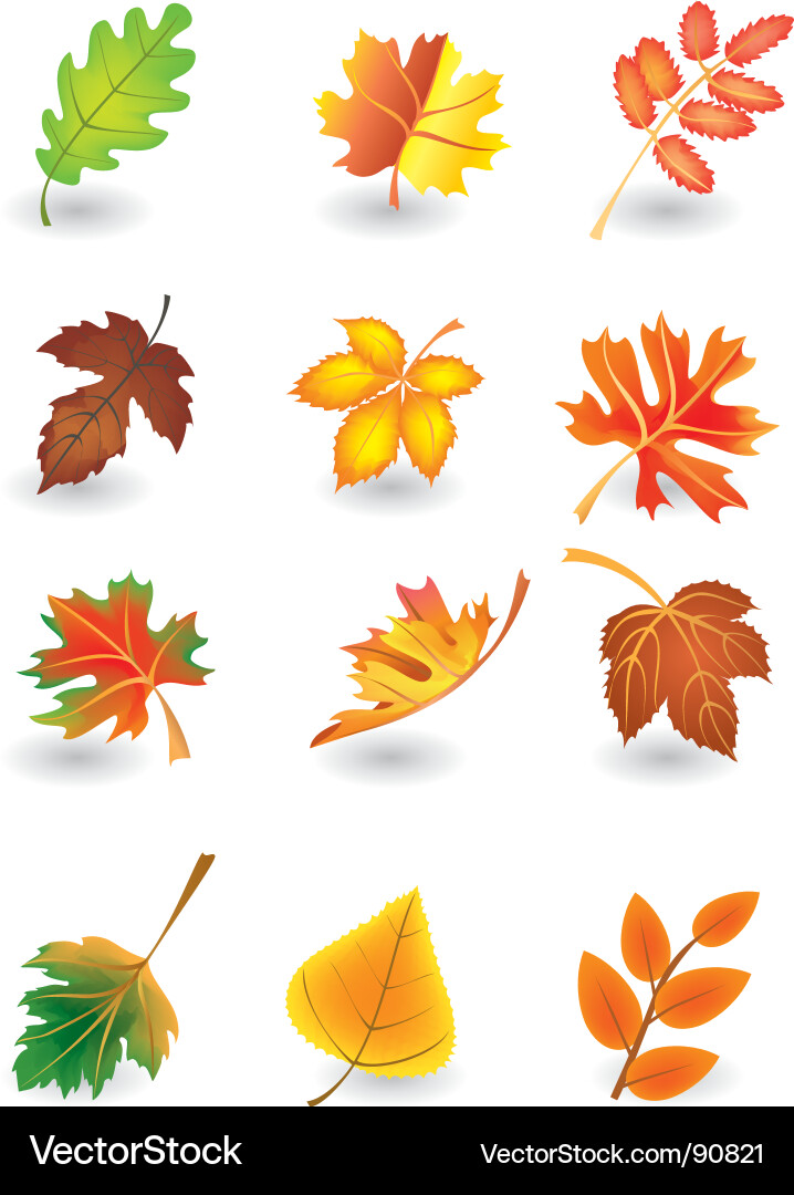 Leaves Royalty Free Vector Image - VectorStock