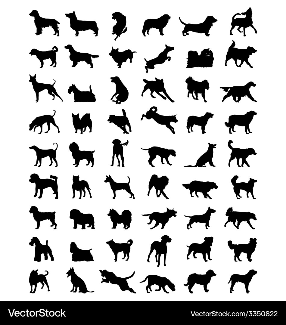 Dogs Royalty Free Vector Image - VectorStock
