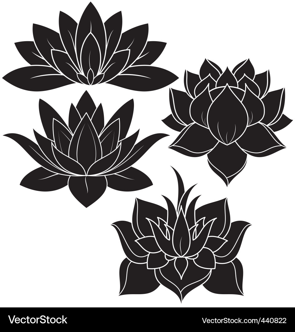 Lotus set Royalty Free Vector Image - VectorStock