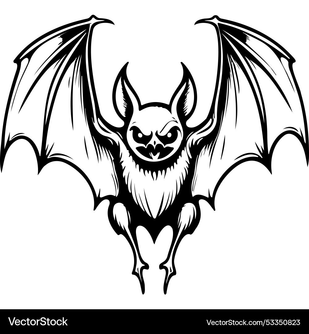 Bat engrave hand drawn line transparent Royalty Free Vector
