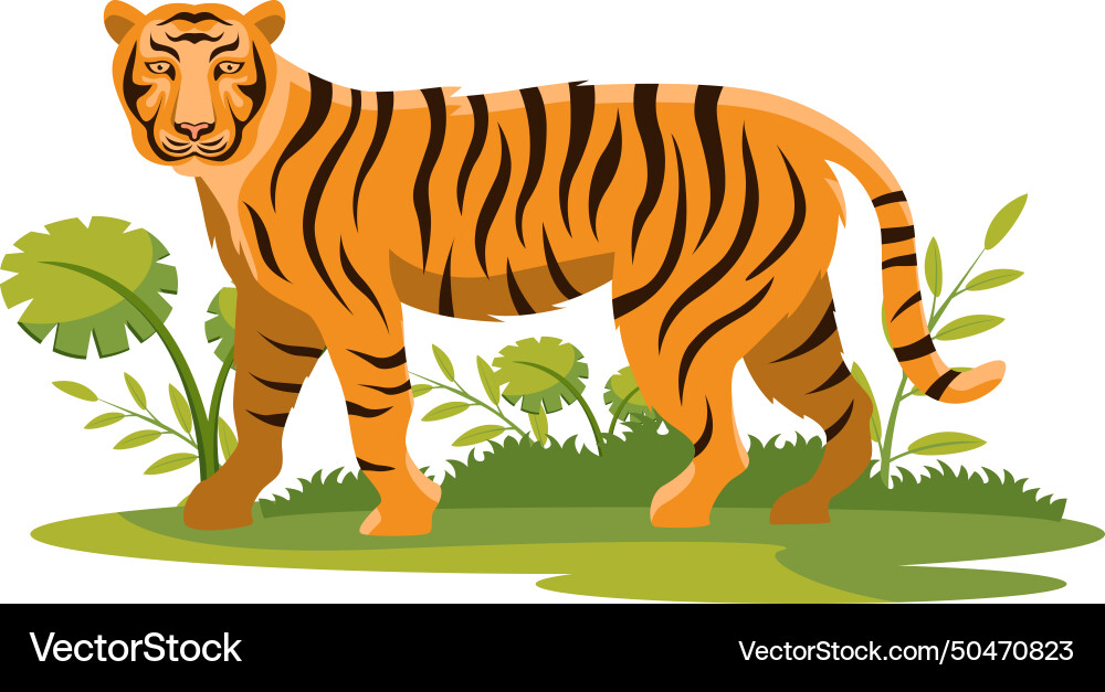 Bengal tiger standing isolated Royalty Free Vector Image