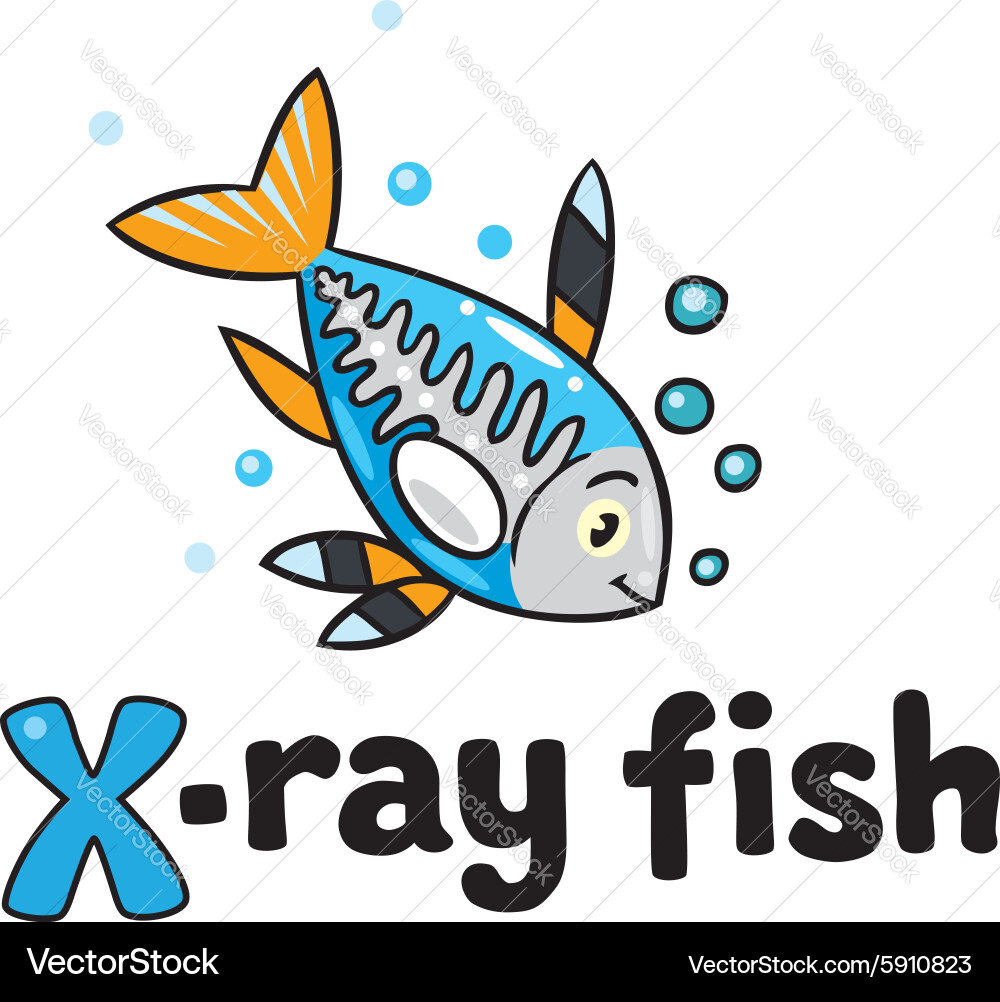 X-ray fish for abc alphabet x Royalty Free Vector Image