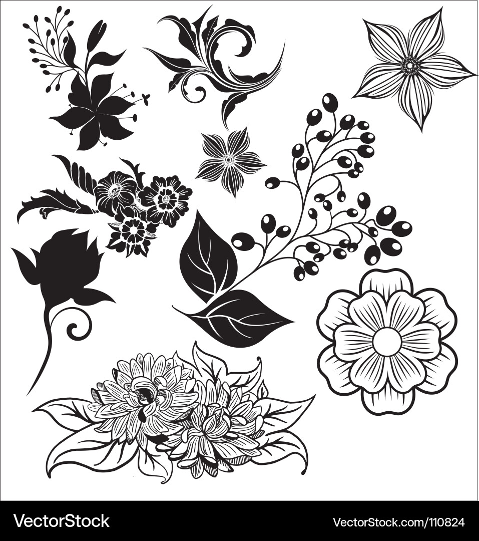 Floral elements Royalty Free Vector Image - VectorStock