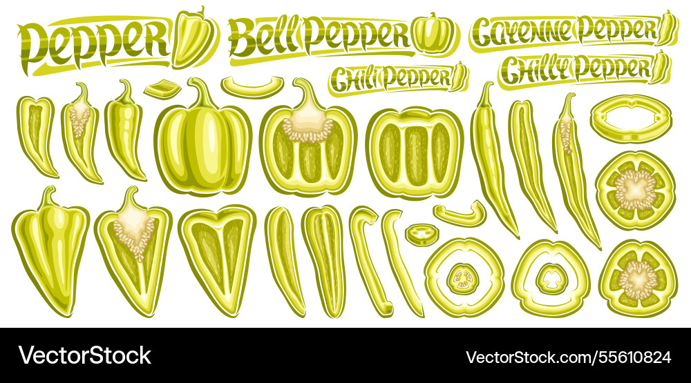 White pepper set Royalty Free Vector Image - VectorStock