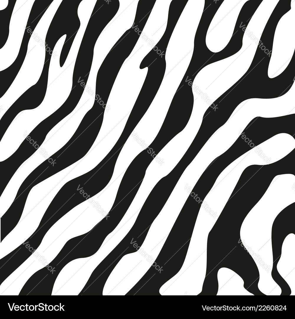 Zebra stripes texture Royalty Free Vector Image
