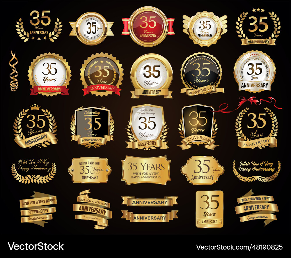35 years retro vintage badges and labels Vector Image