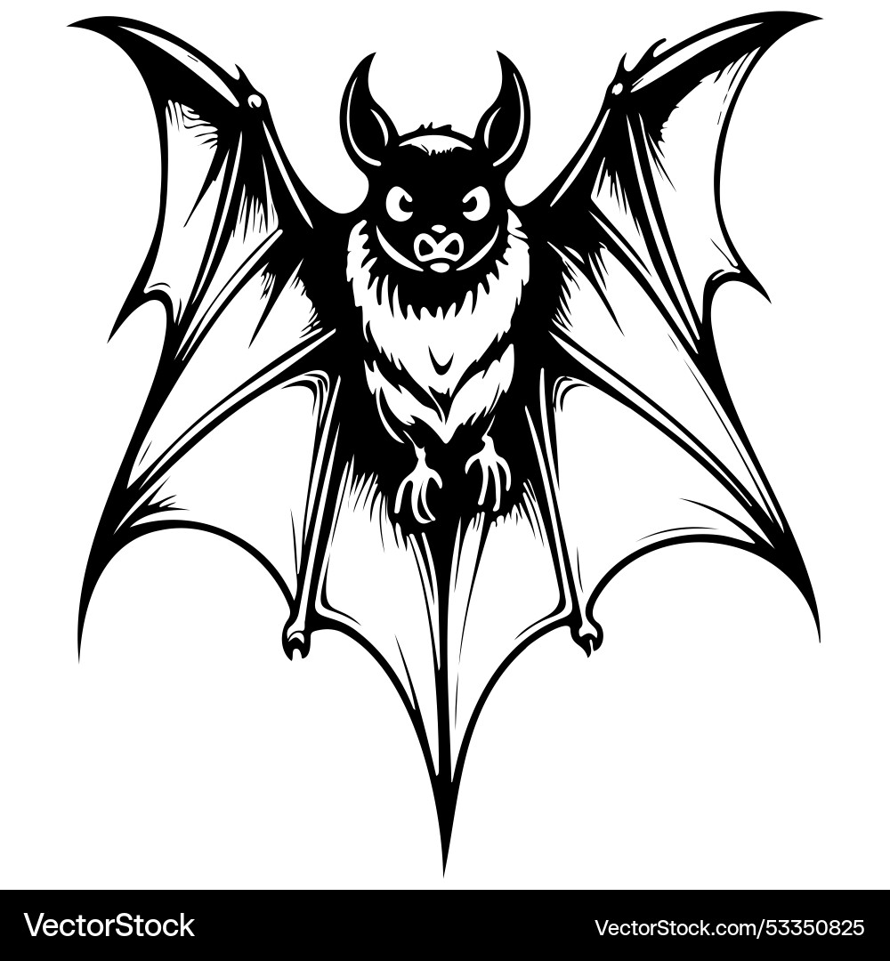 Bat of hand drawn line transparent background Vector Image