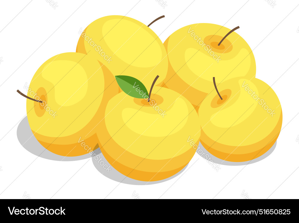 Isometric apples isolated on white background Vector Image