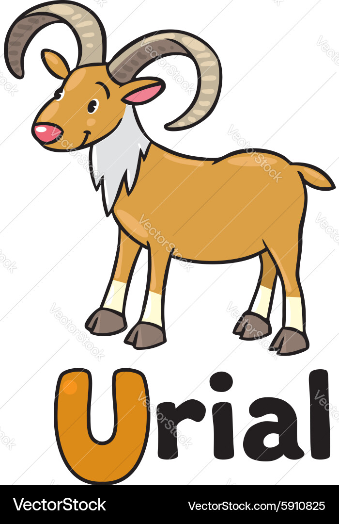 Little funny urial or ram for abc alphabet u Vector Image
