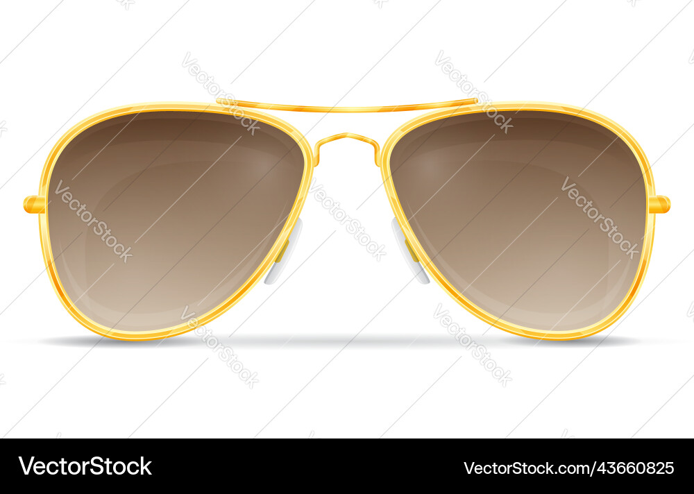 Sunglasses for men in metal frames stock Vector Image